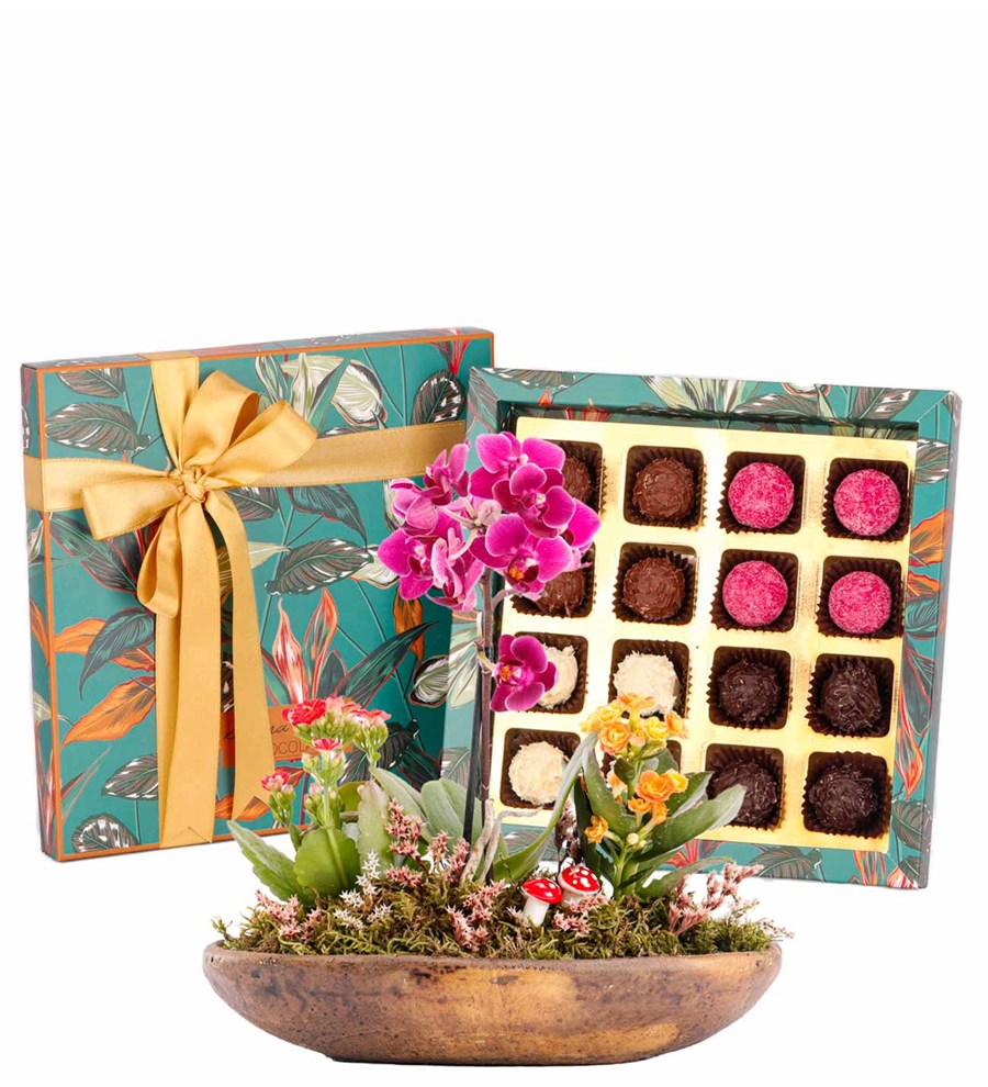 Truff Çikolata Kutusu ve Dekor Saksıda Orkideli Kalanchoe Tasarım ...